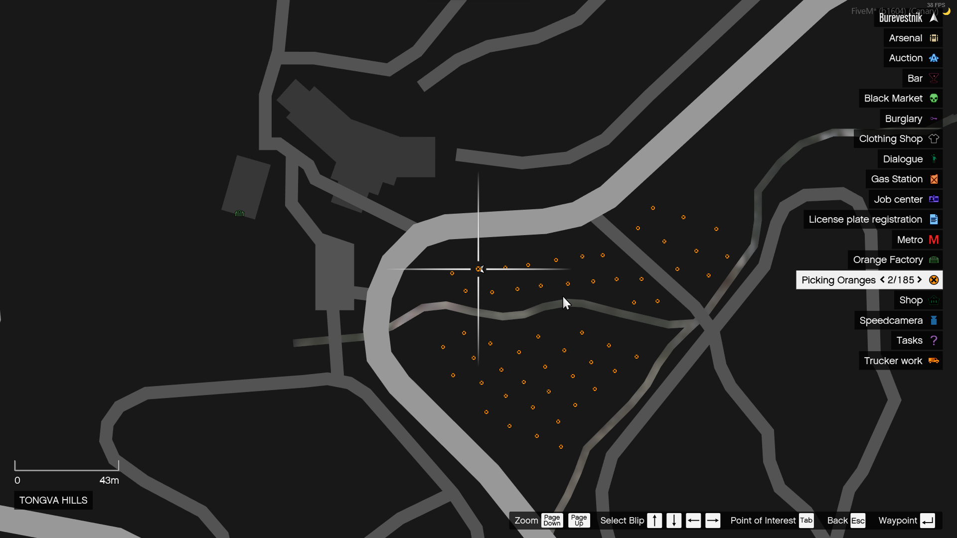 Burevestnik · Collecting oranges