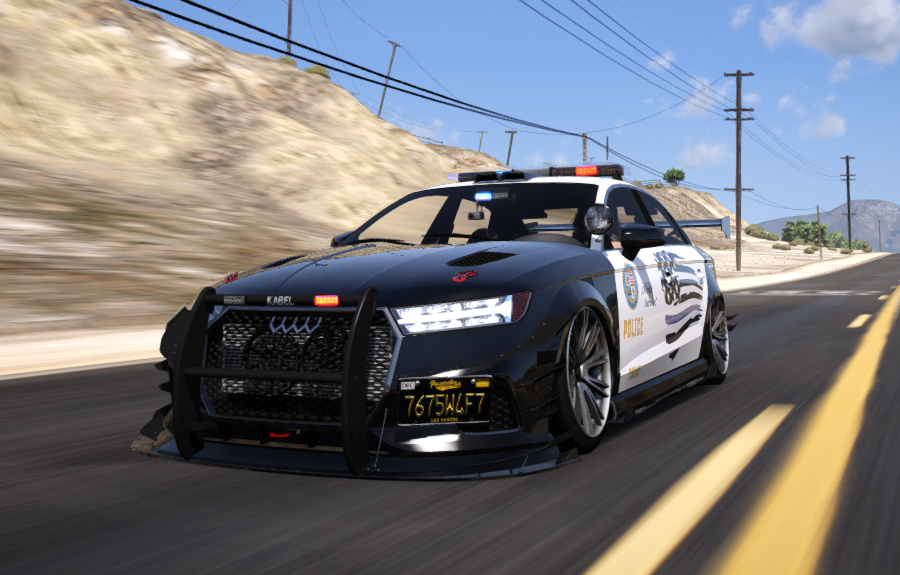 Snow Customs Service | Tailgater Police