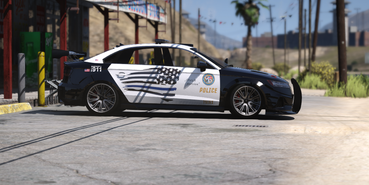 Snow Customs Service | Tailgater Police