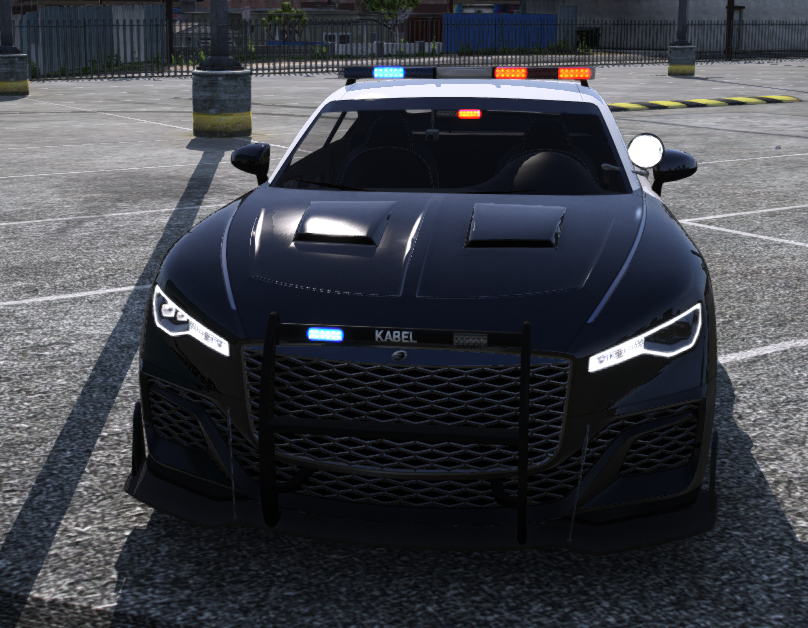 Snow Customs Service | Paragon Police