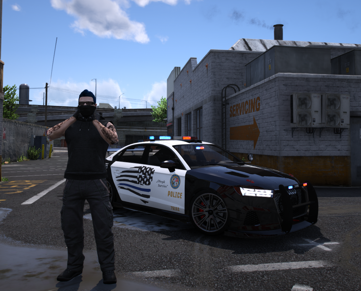 Snow Customs Service | Tailgater Police