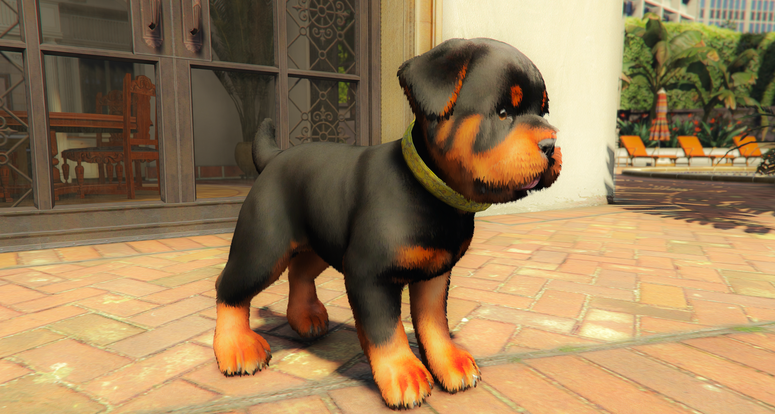 Bugs Mods · [SOURCE] Rottweiler Puppy (Puppy Chop) Ped