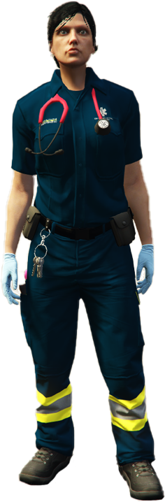 FiveZone · EMS PACK V1