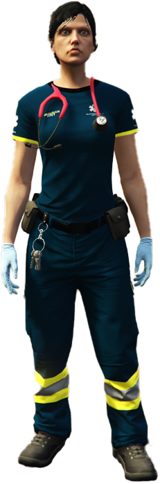 FiveZone · EMS PACK V1