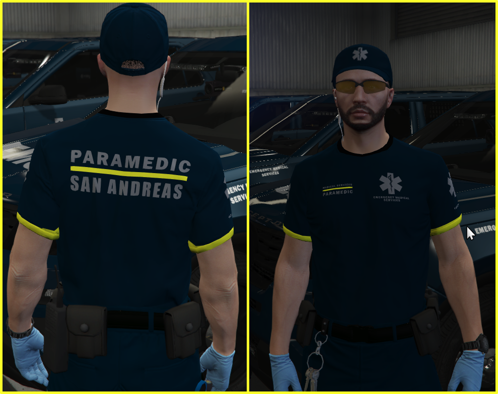 FiveZone · EMS PACK V1