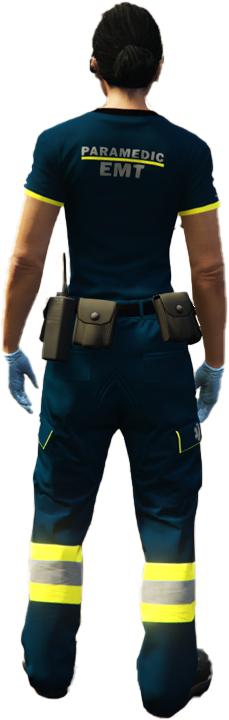 FiveZone · EMS PACK V1