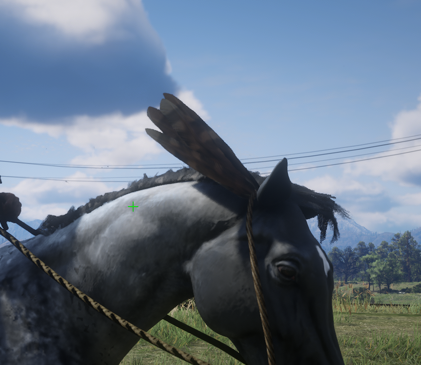 Macabre Redm | Native Horse Feathers 1