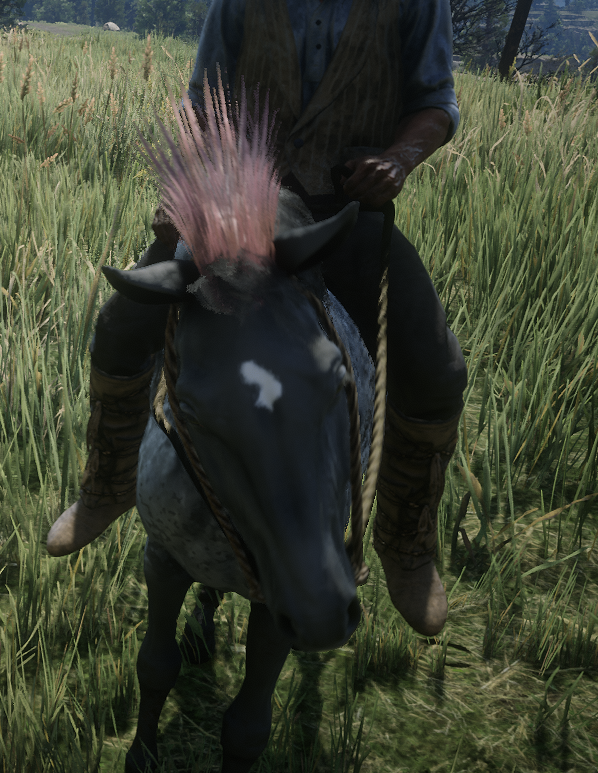 Macabre Redm | Native Horse Feathers 1