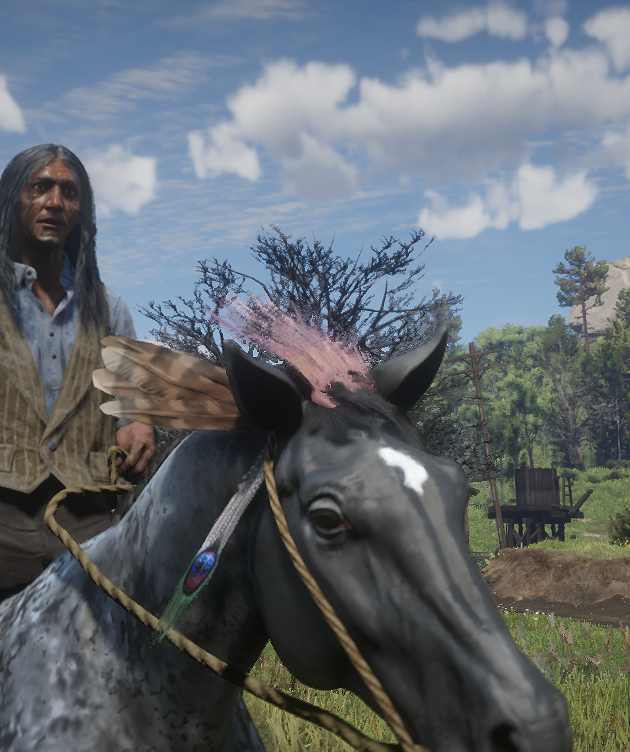 Macabre Redm | Native Horse Feathers 1