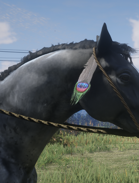 Macabre Redm | Native Horse Feathers 1