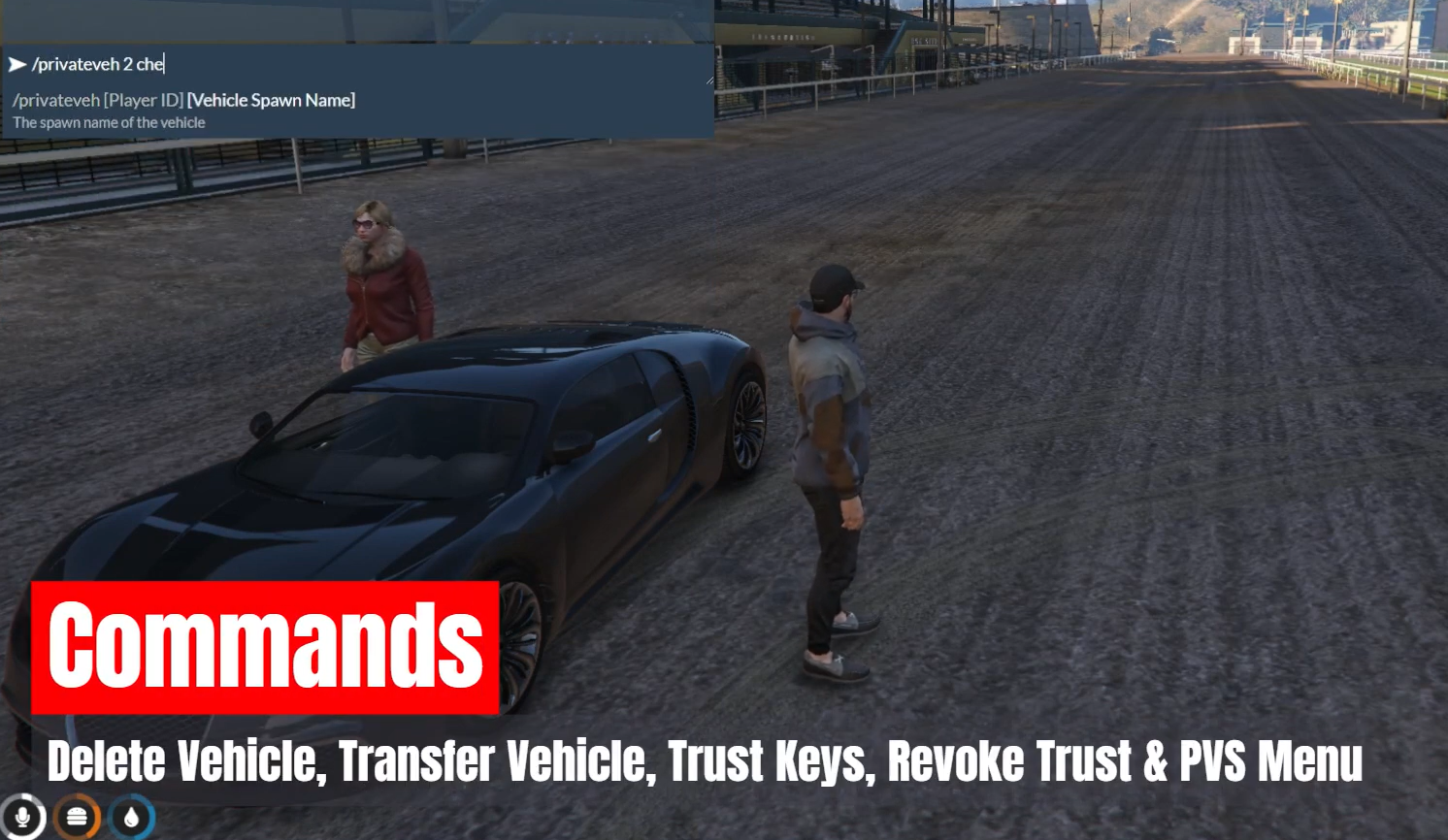 D3lta Development Studios | PrivateVehicleScript