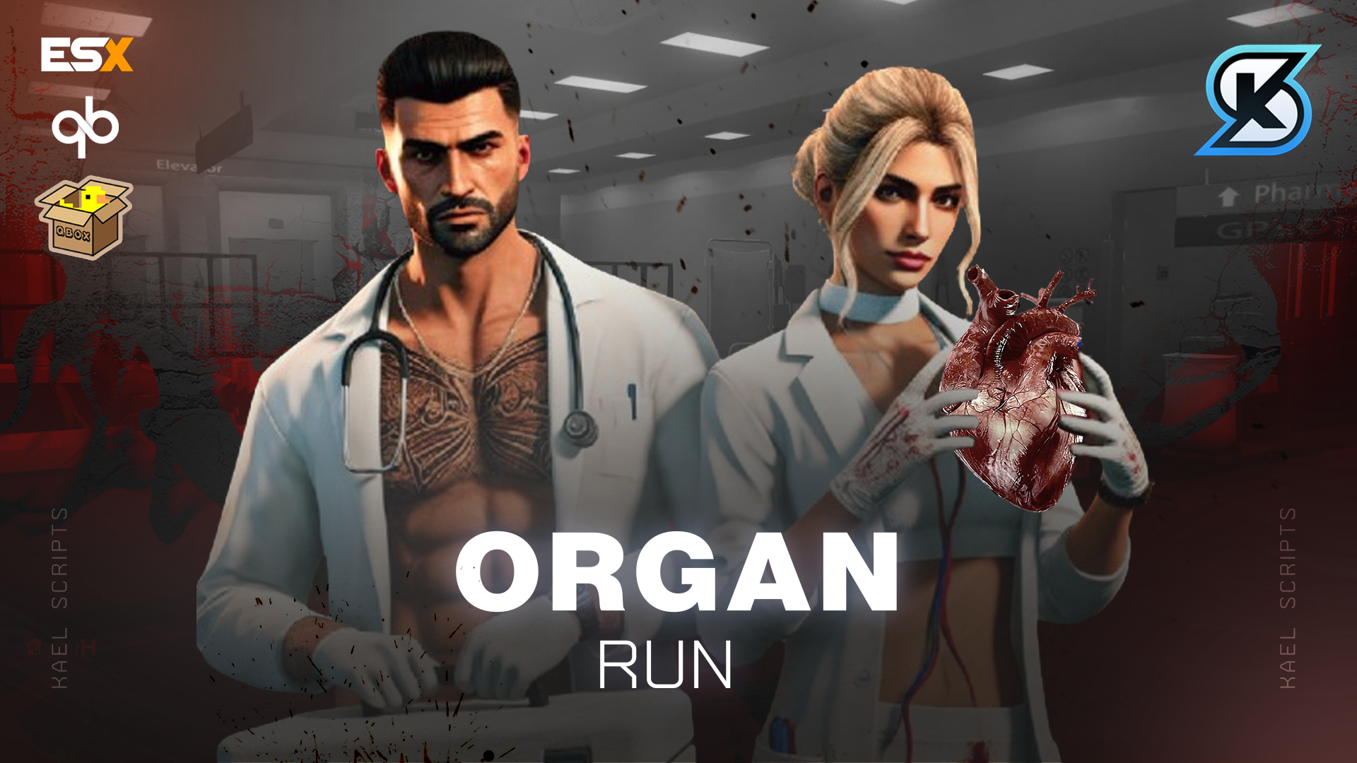 Kael Script | Welcome