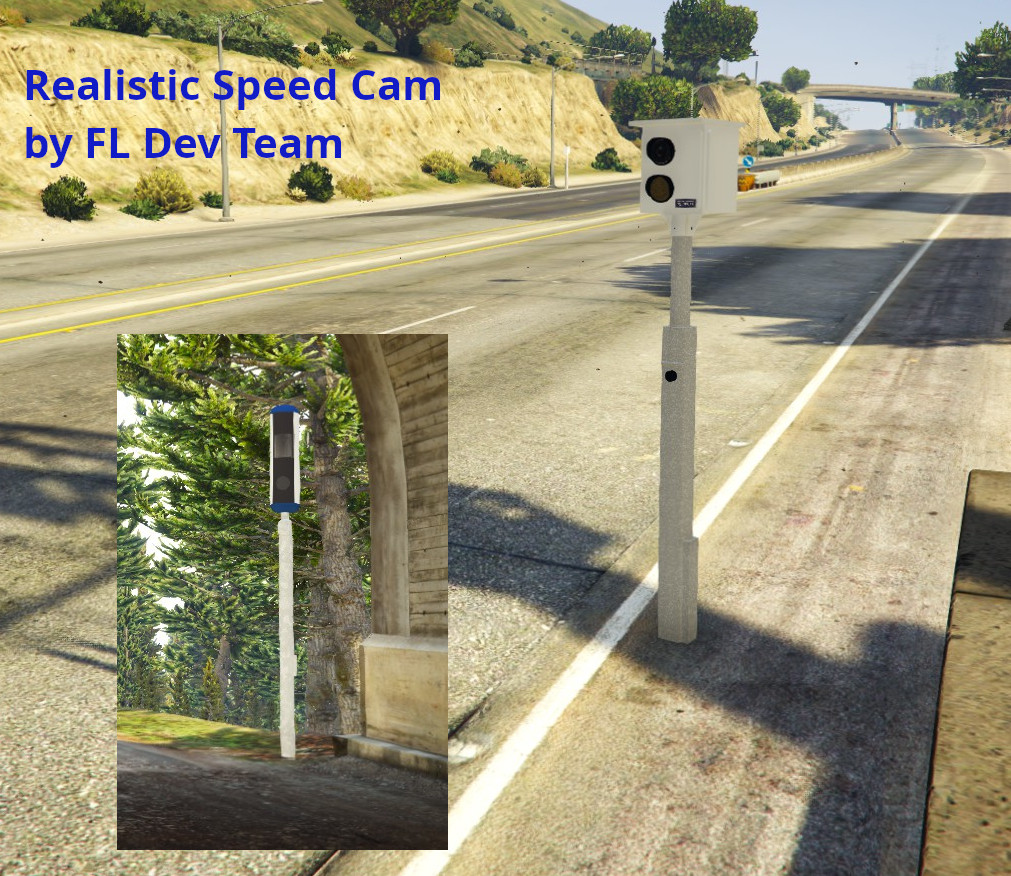 FL Dev Team | Terms & Conditions