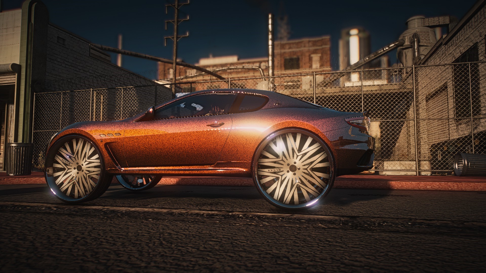 Marley's World · masi gt 2018