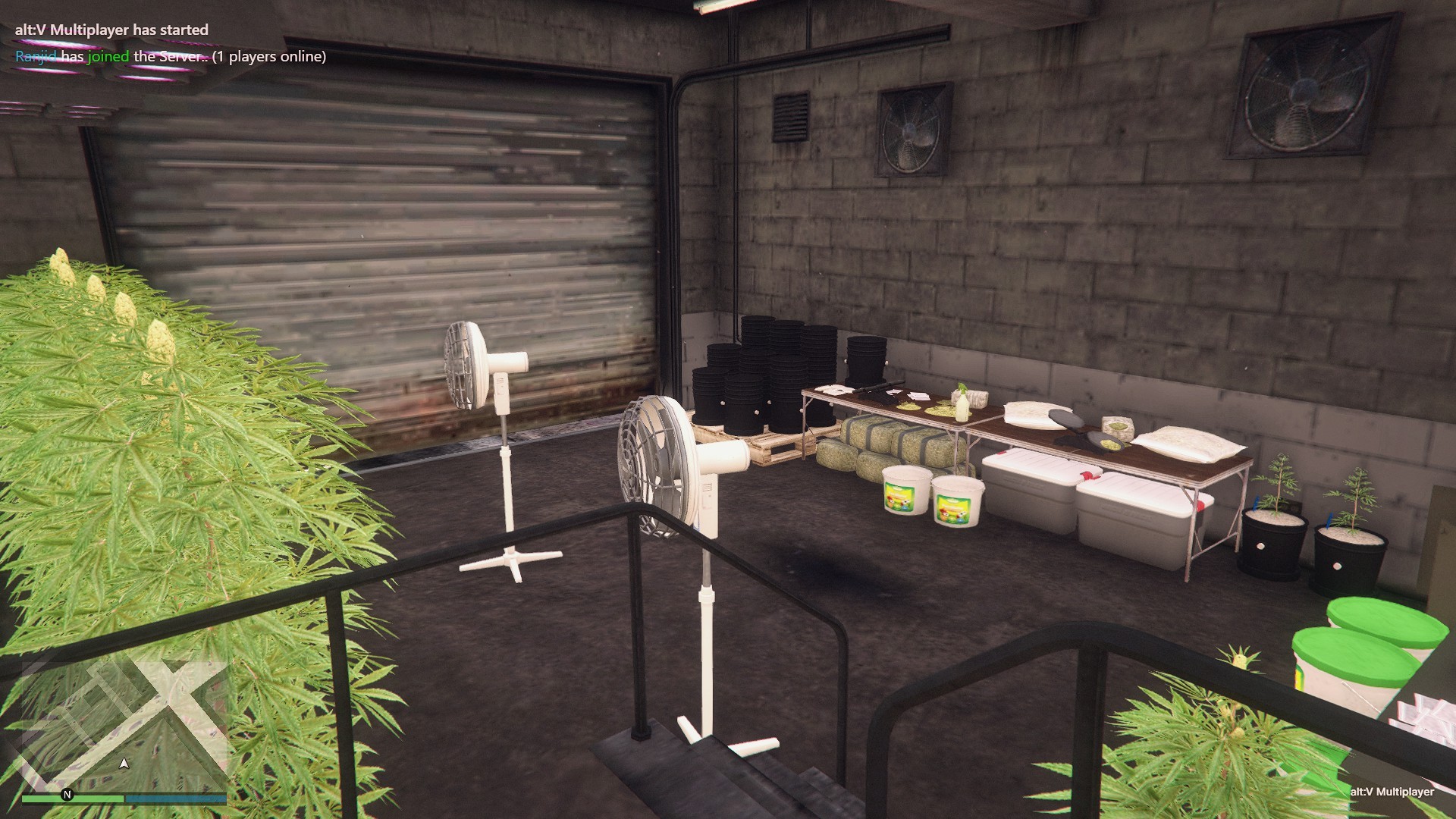 SEMPEX Mappings - FiveM | Weed Seller