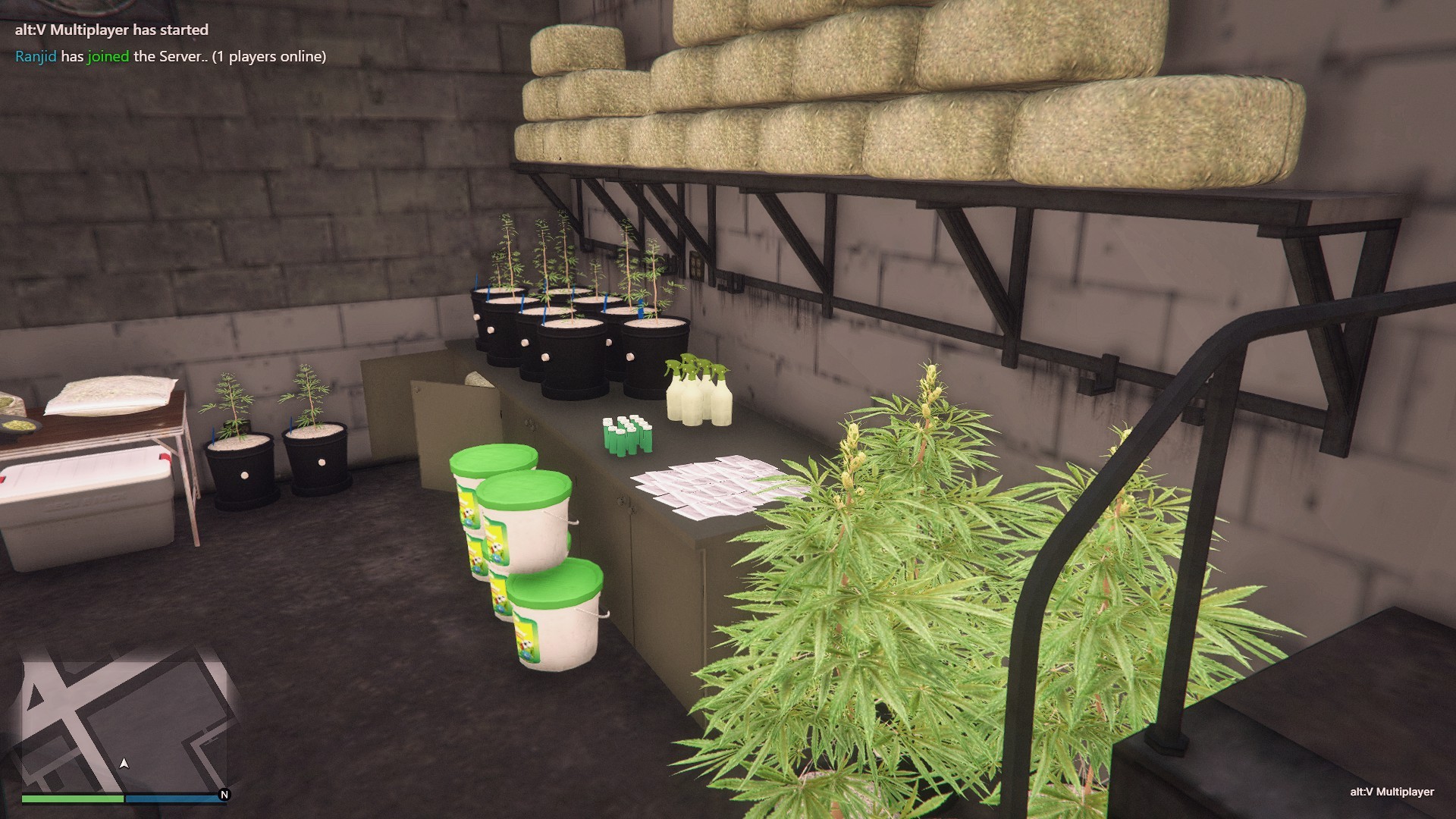 SEMPEX Mappings - FiveM | Weed Seller