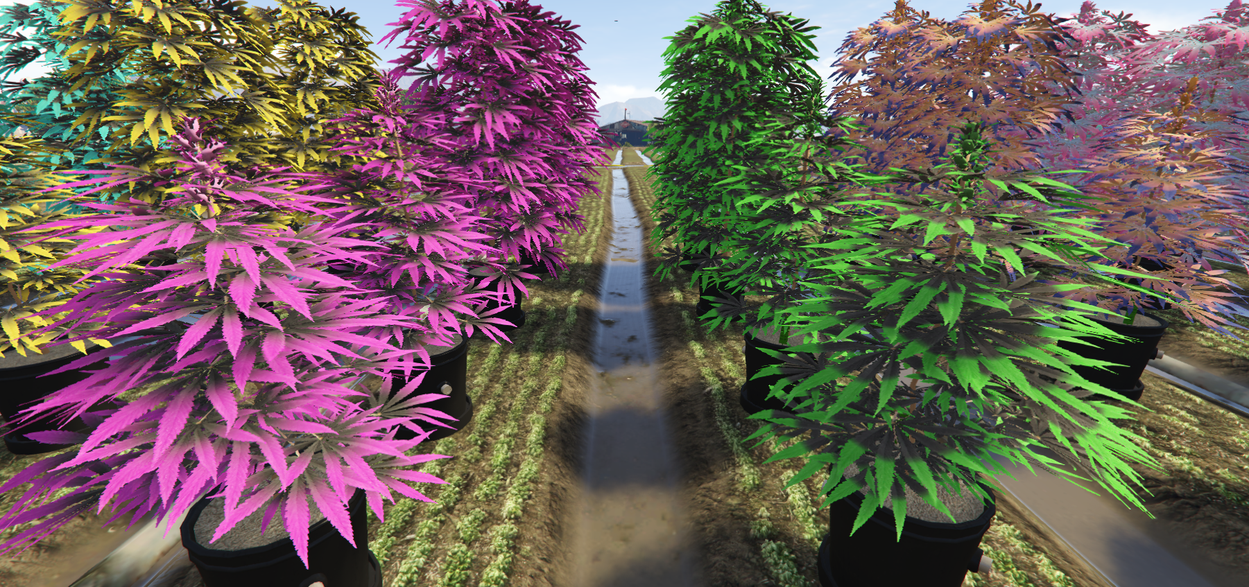 Shuffle Shop · Gradient Weed Plants