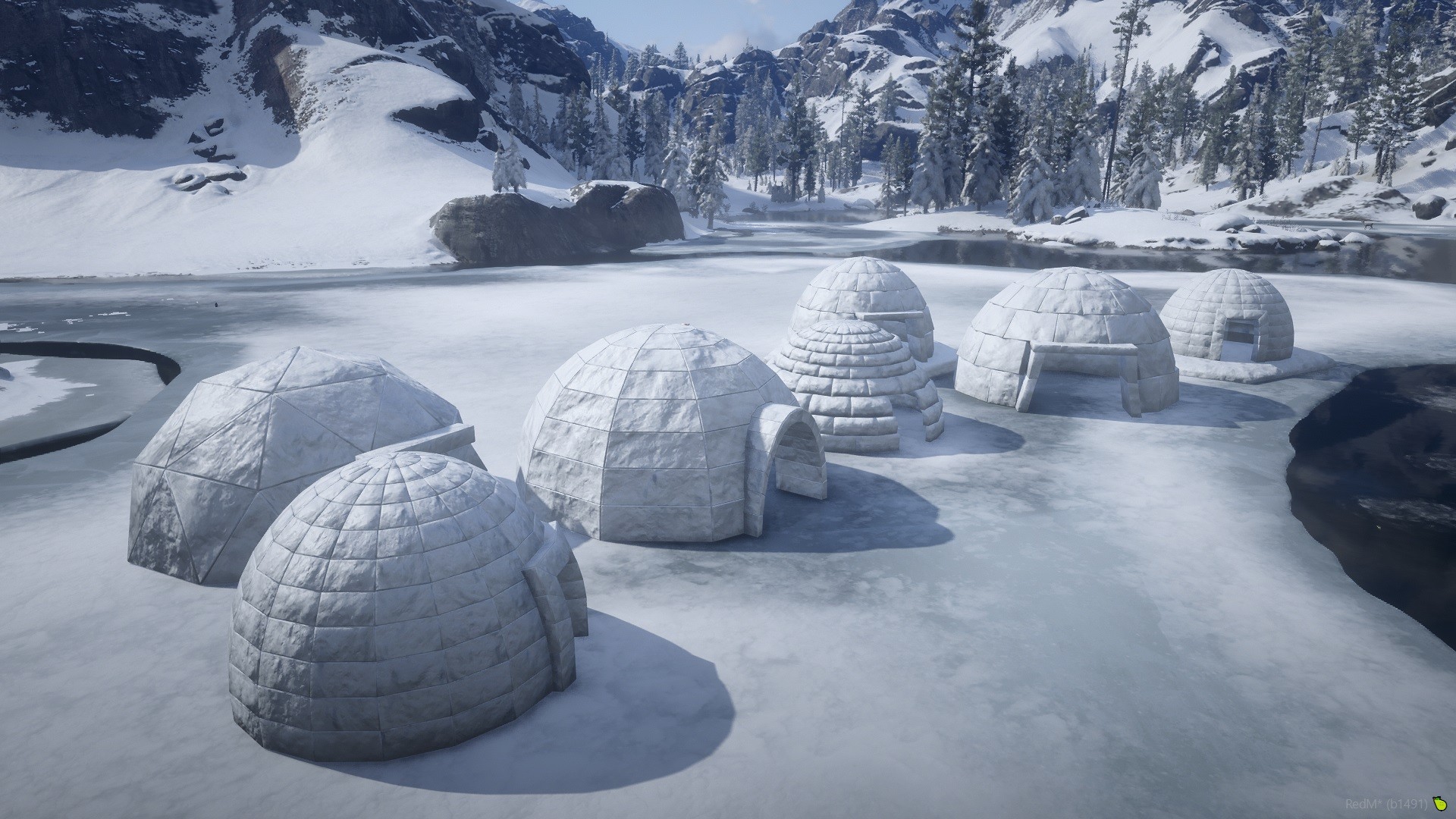 Kitty | Igloo Camps