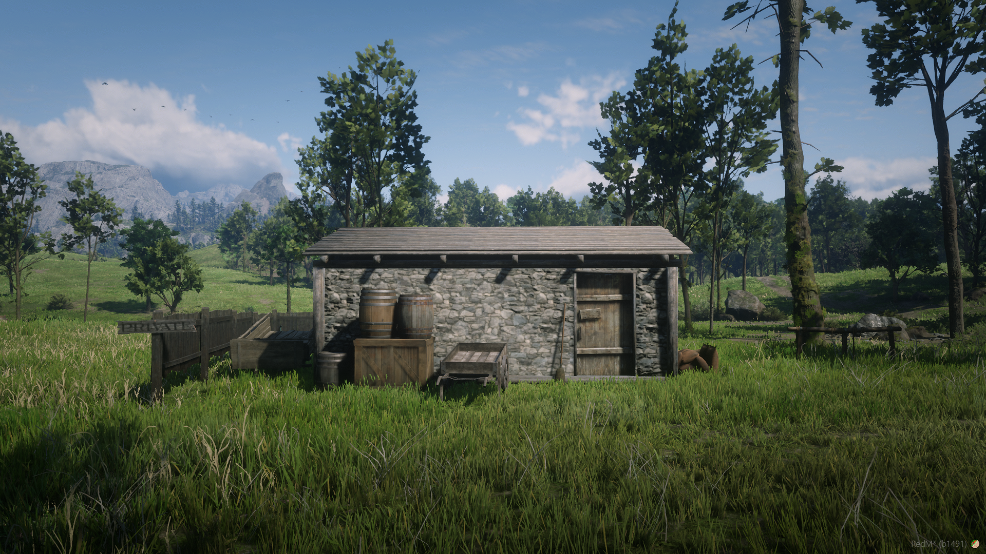 Kitty | Stone Shack
