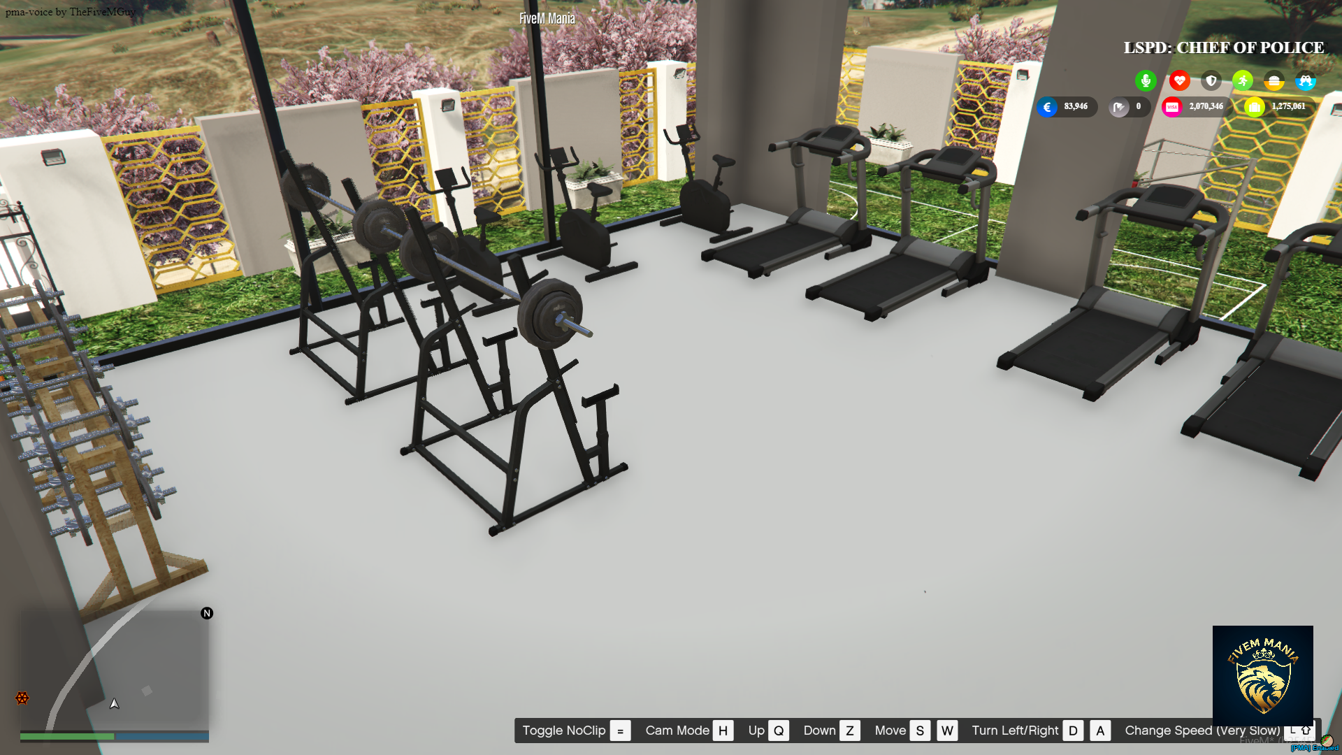 FiveM Mania · Oasis Villa MLO.