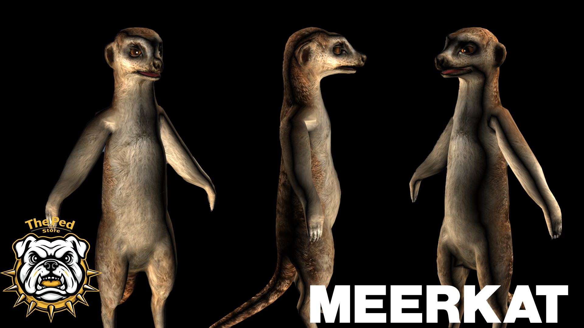 The Peds Store · Meerkat (Addon Ped)