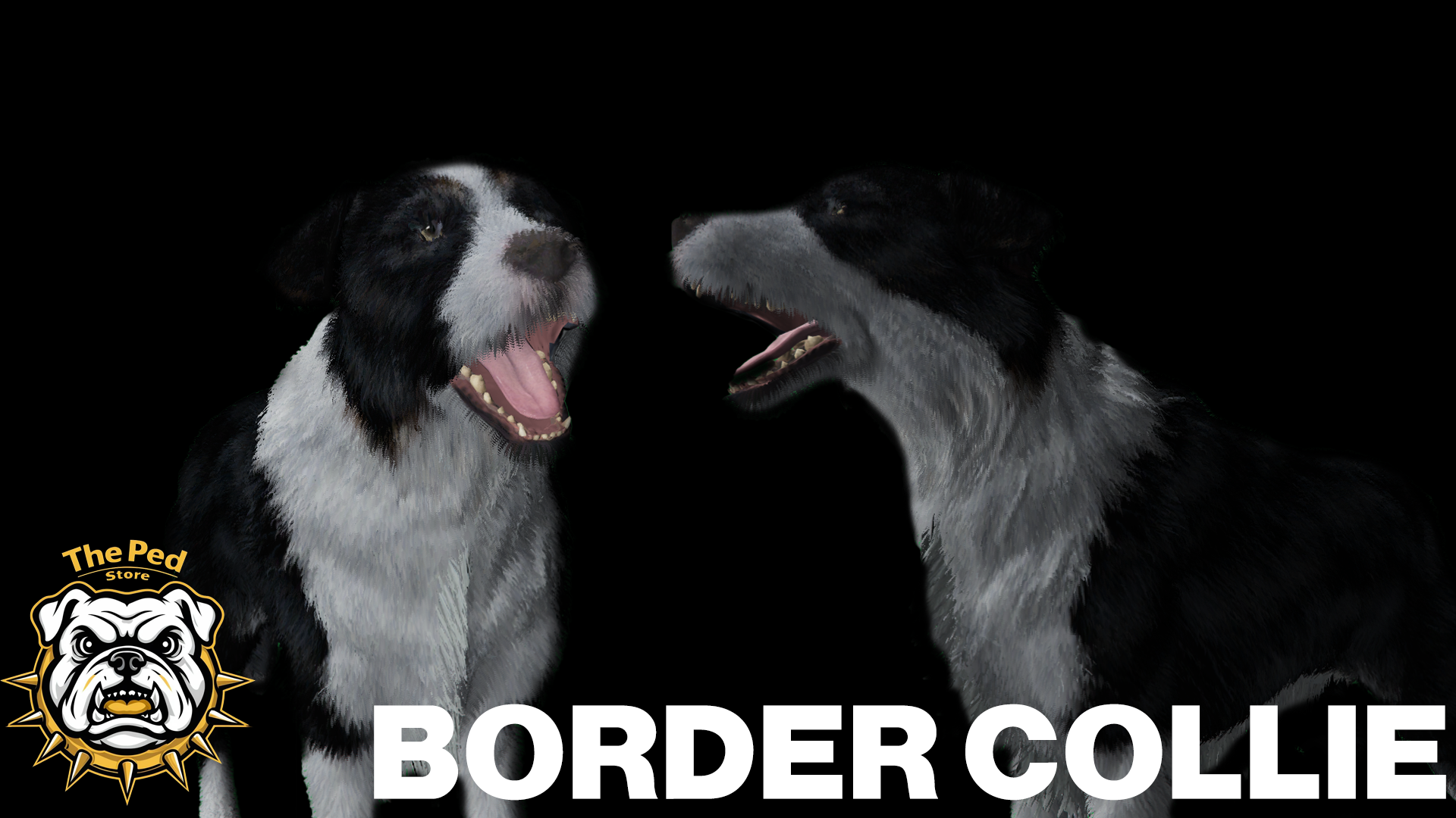 The Peds Store · Border Collie (Addon Ped)