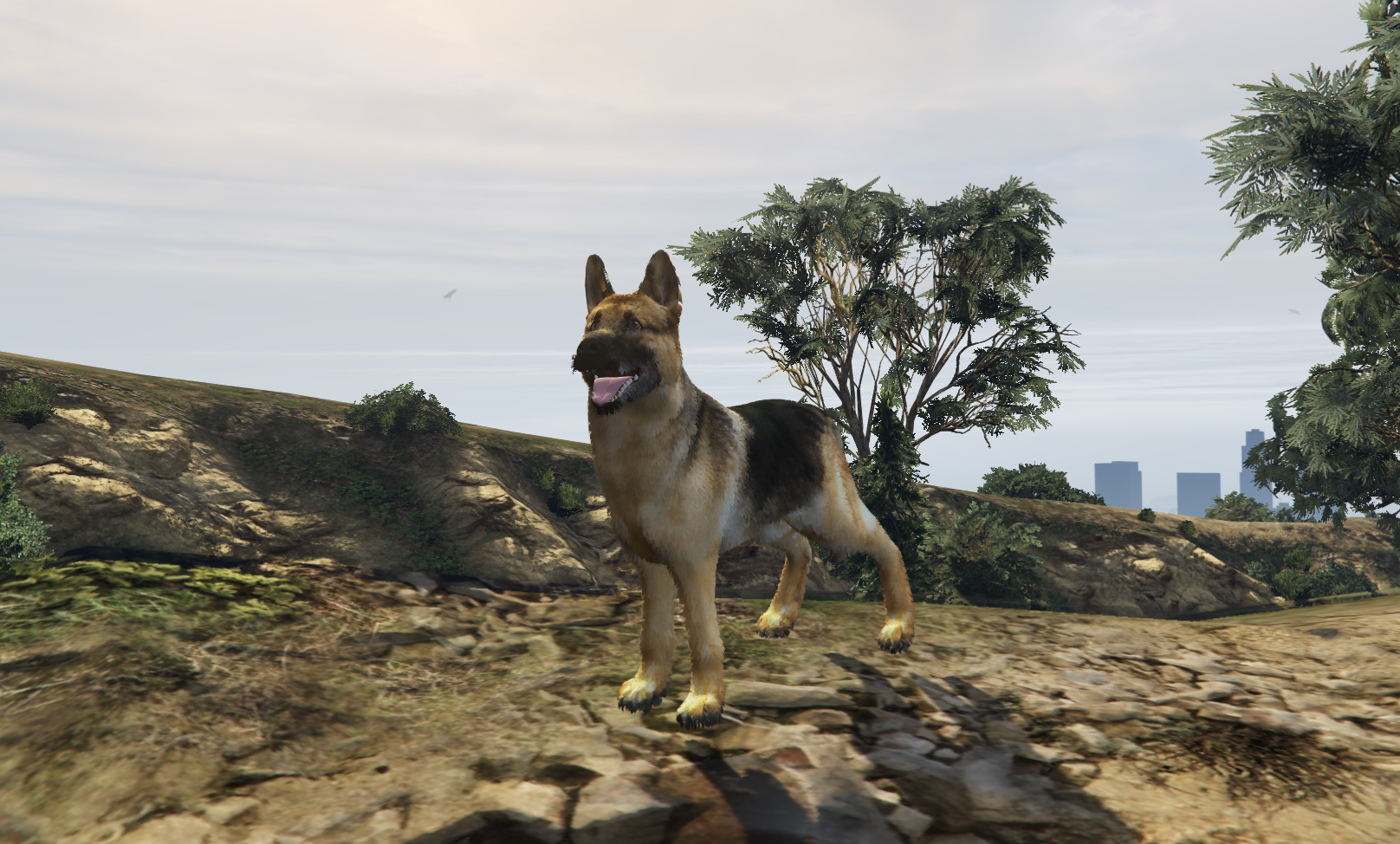 The Peds Store · Shepherd (Addon Ped)