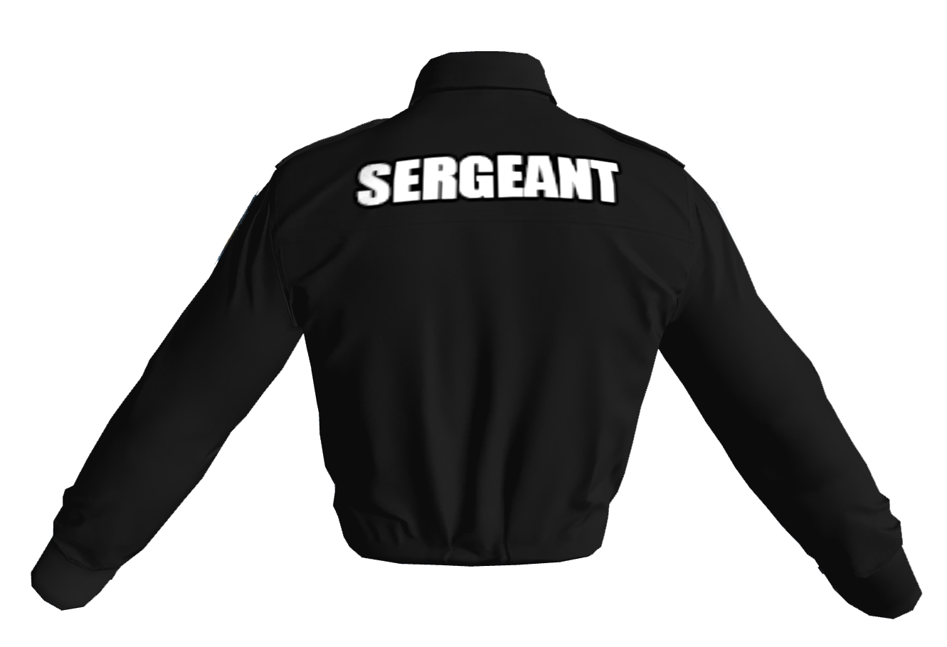 2nd Life Designs · LSPD - To Serve and Protect v2