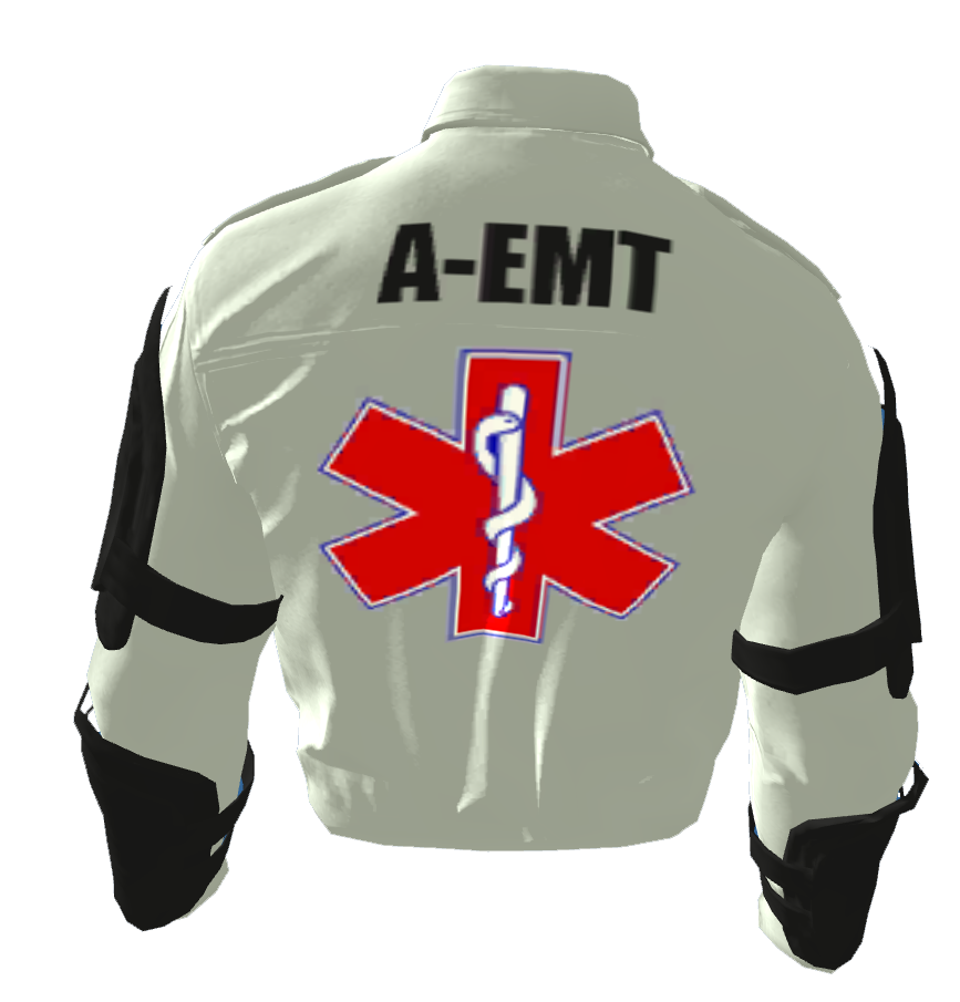 2nd Life Designs · EMS Mega Bundle [Male and Female]