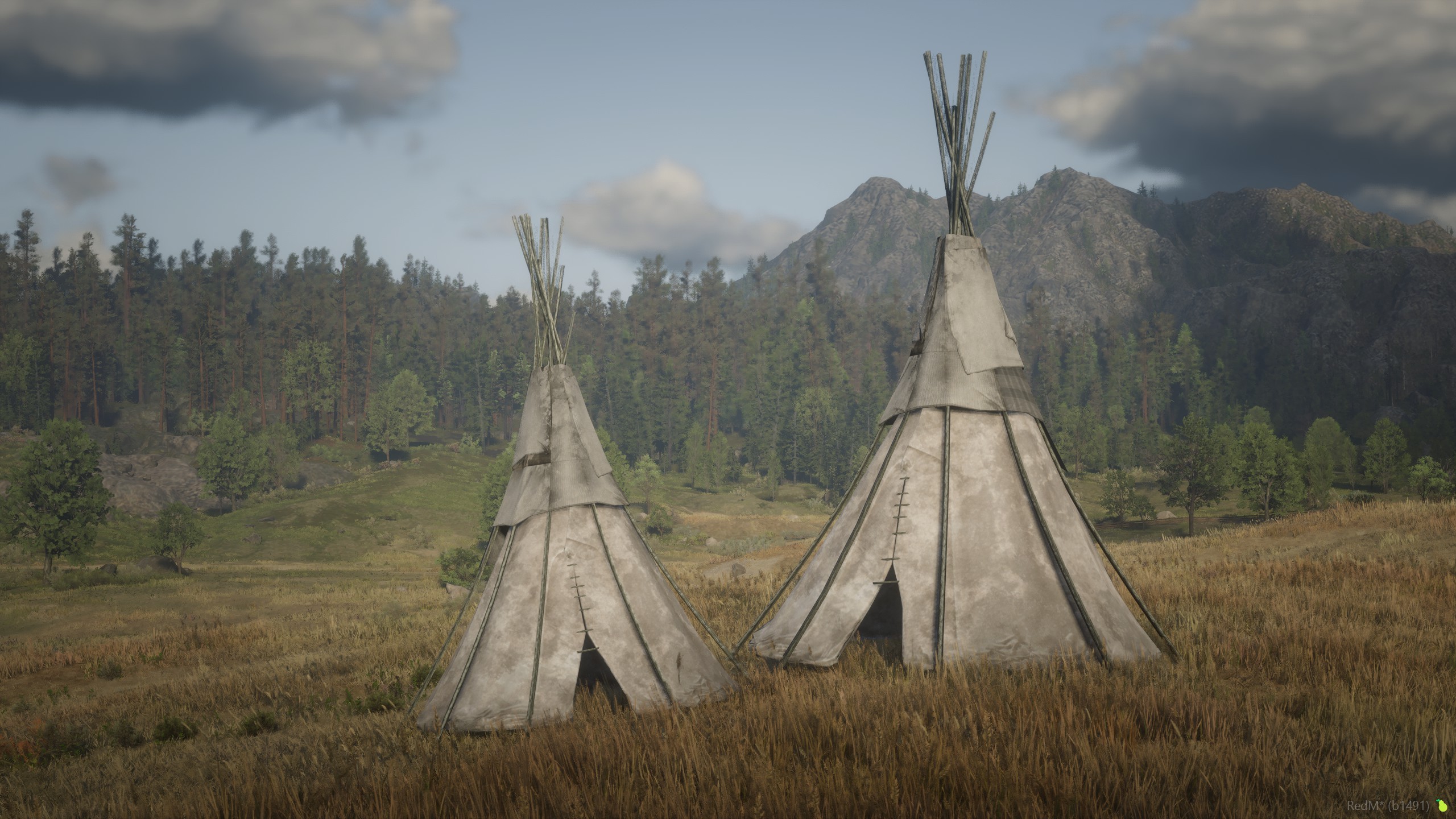 NewTrailsCreations | Native Housings