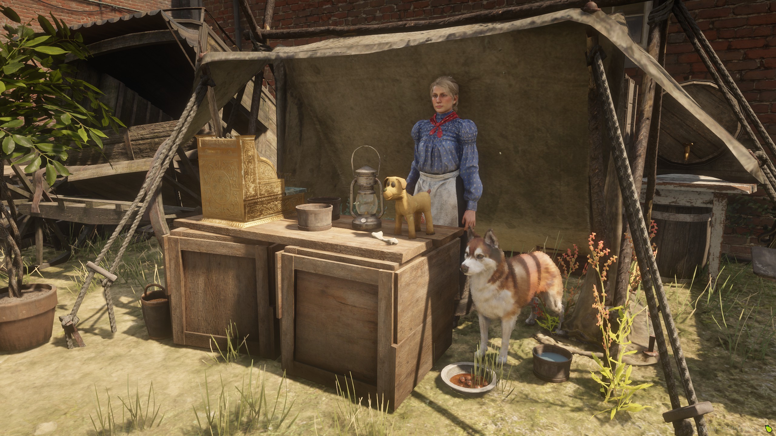 NewTrailsCreations | Pet Shop Blackwater