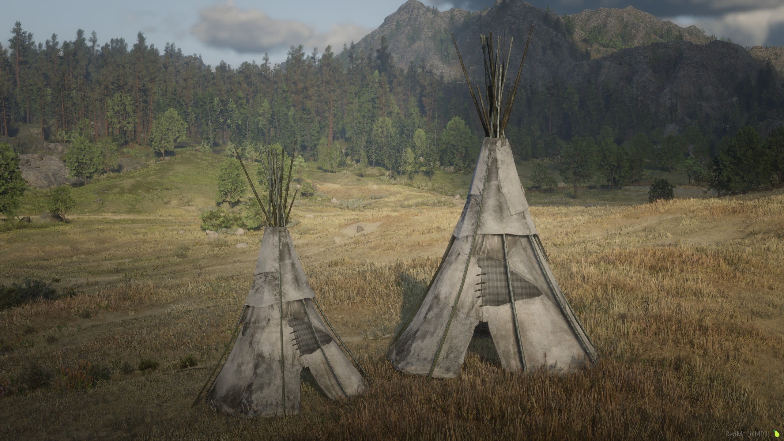 NewTrailsCreations | Native Housings