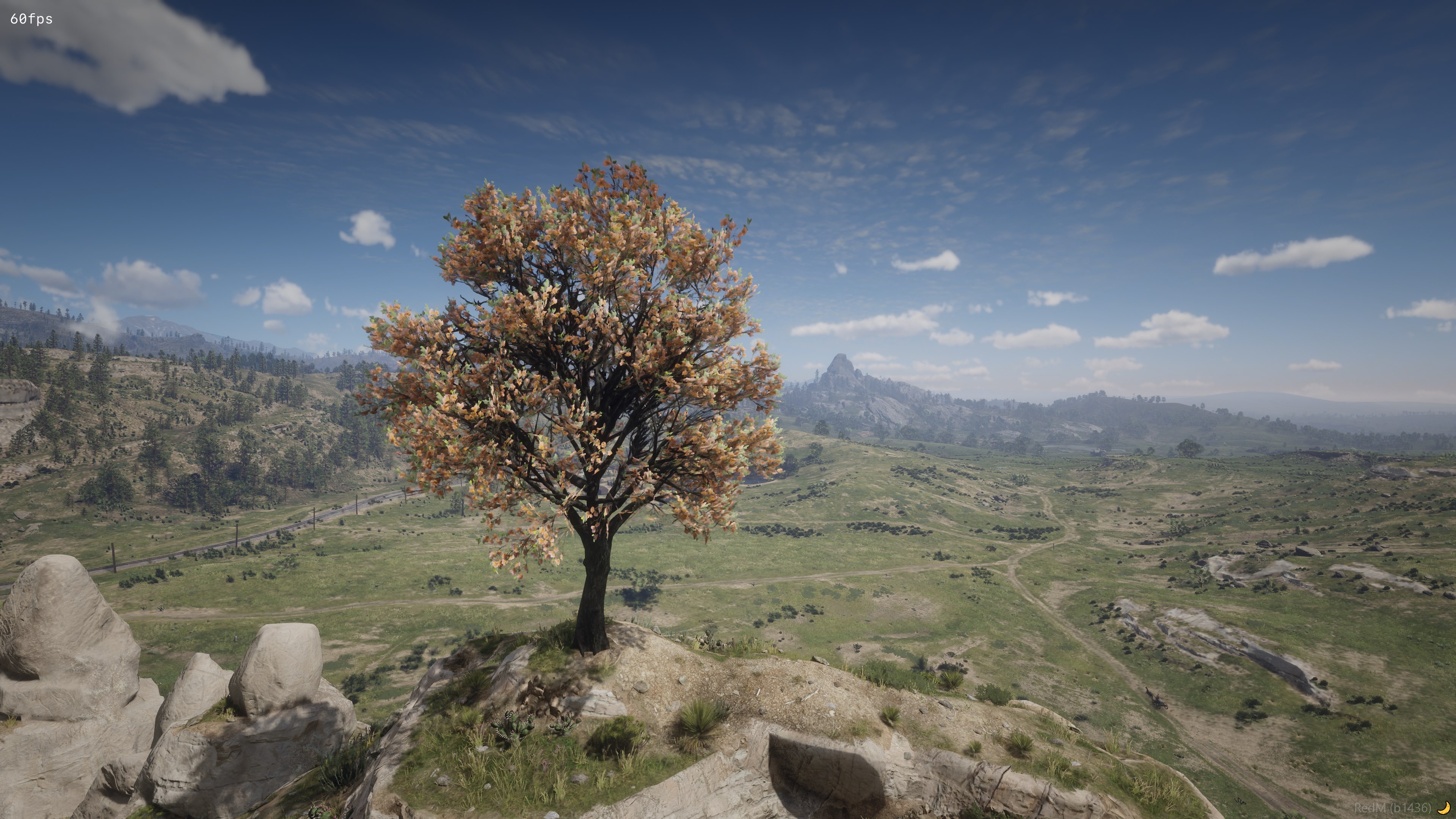 South Devs | City Pack Trees