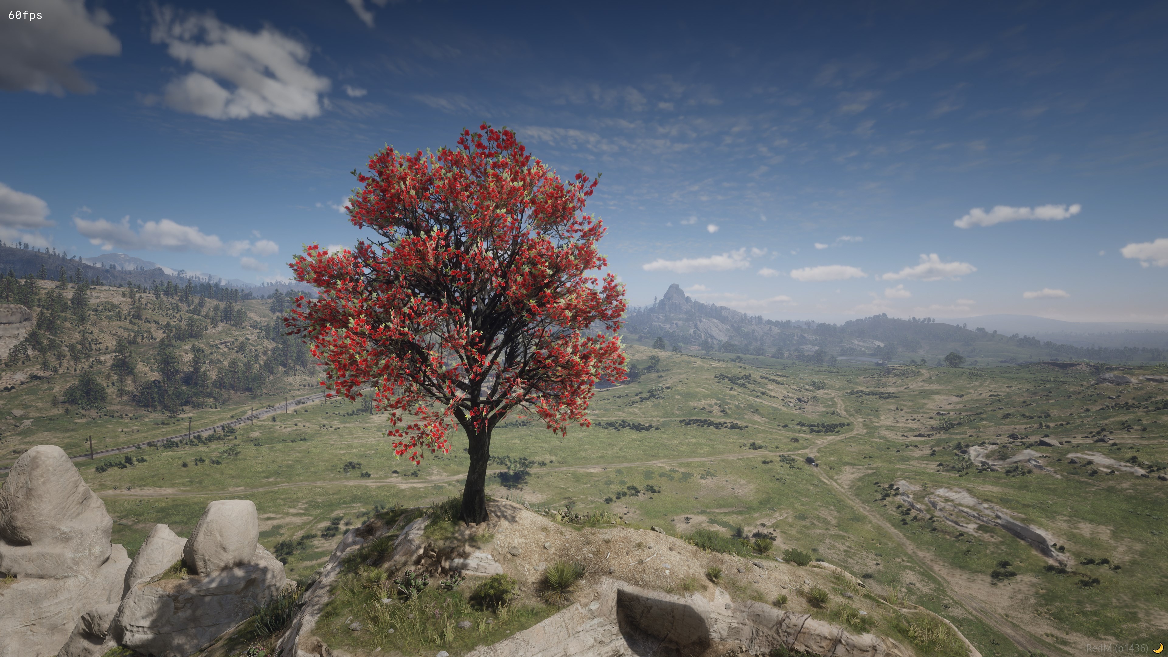 South Devs | City Pack Trees