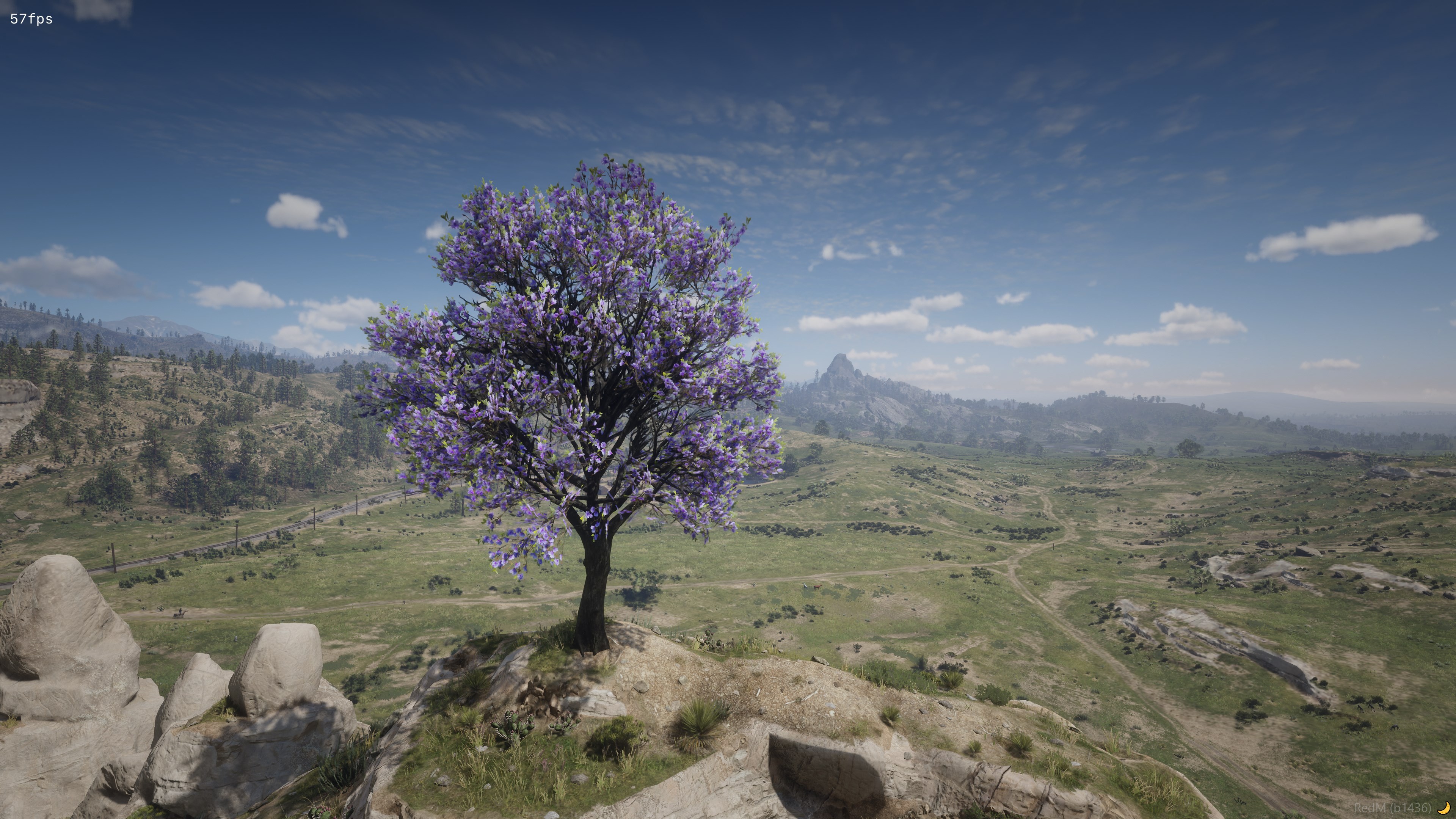 South Devs | City Pack Trees