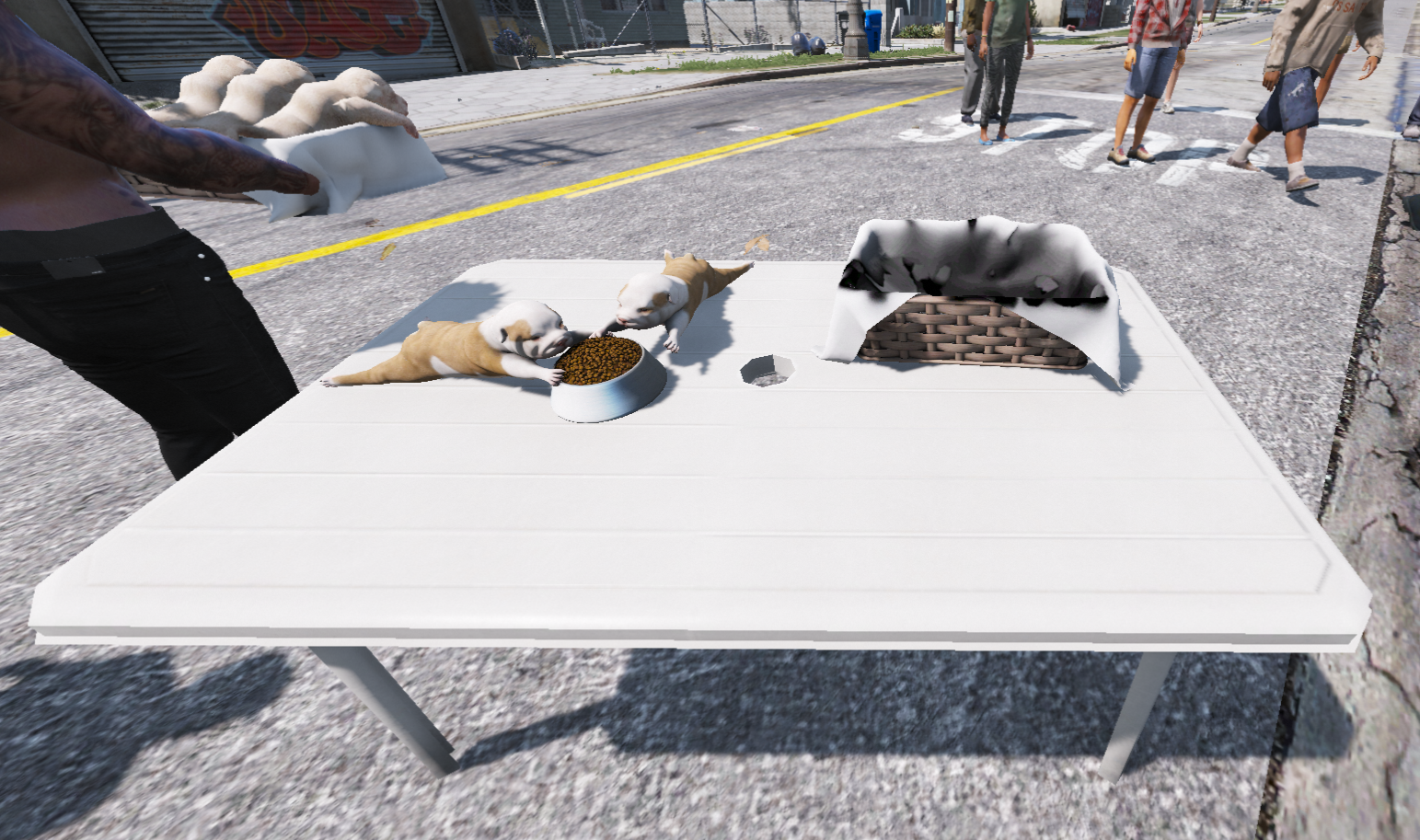 donor shop | DOG SCRIPT PROPS