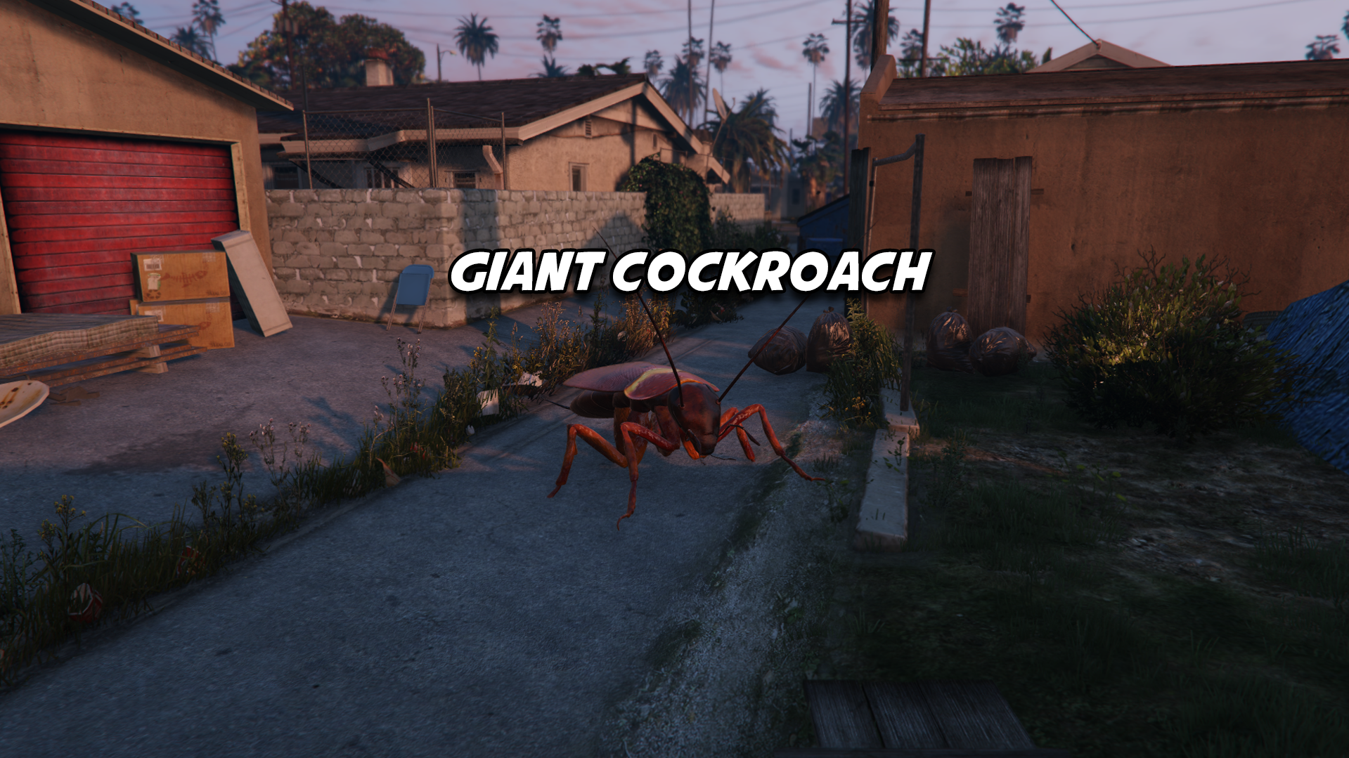 Popcorn Roleplay · Giant Cockroach