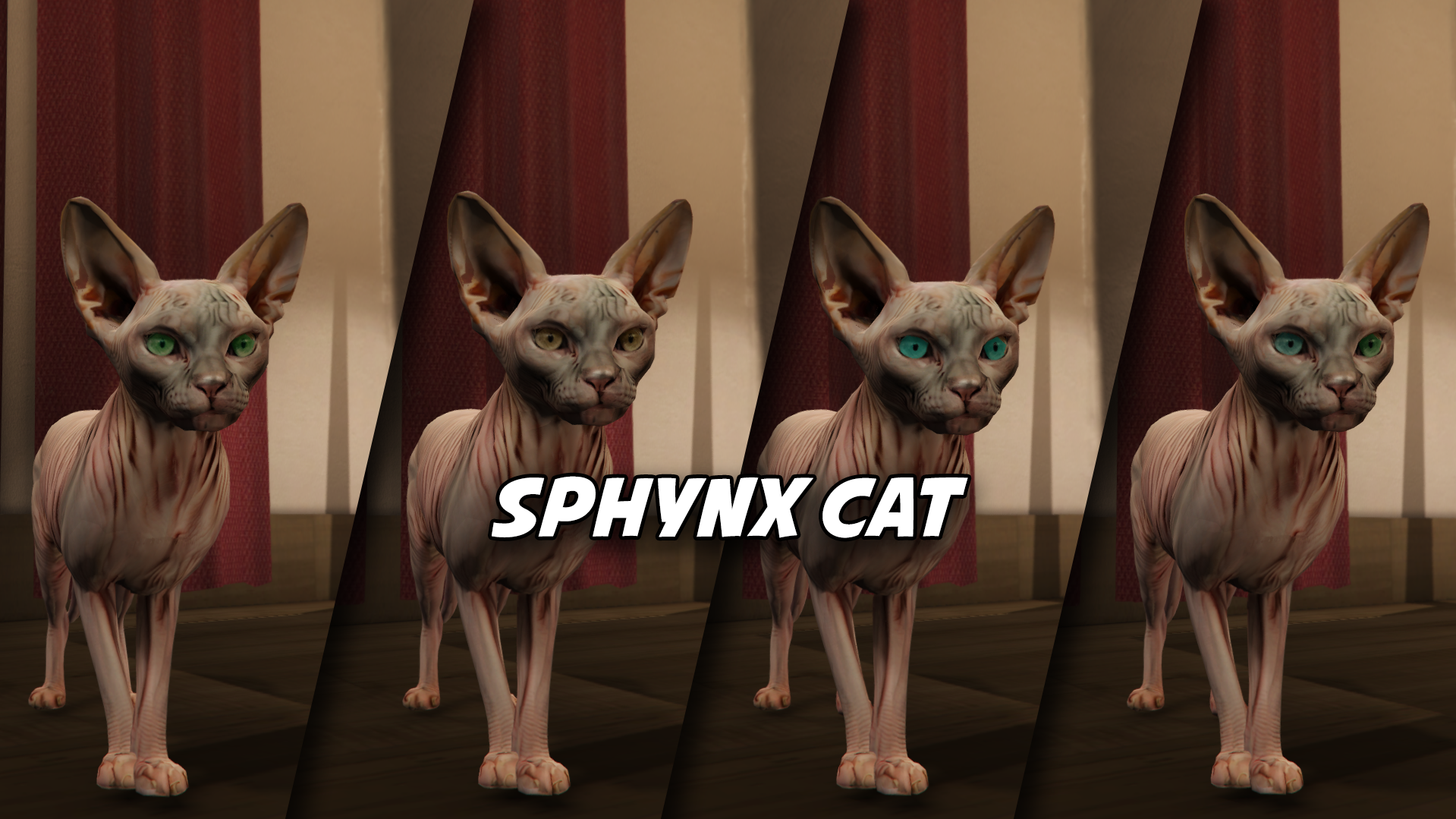 Popcorn Roleplay · Sphynx Cat