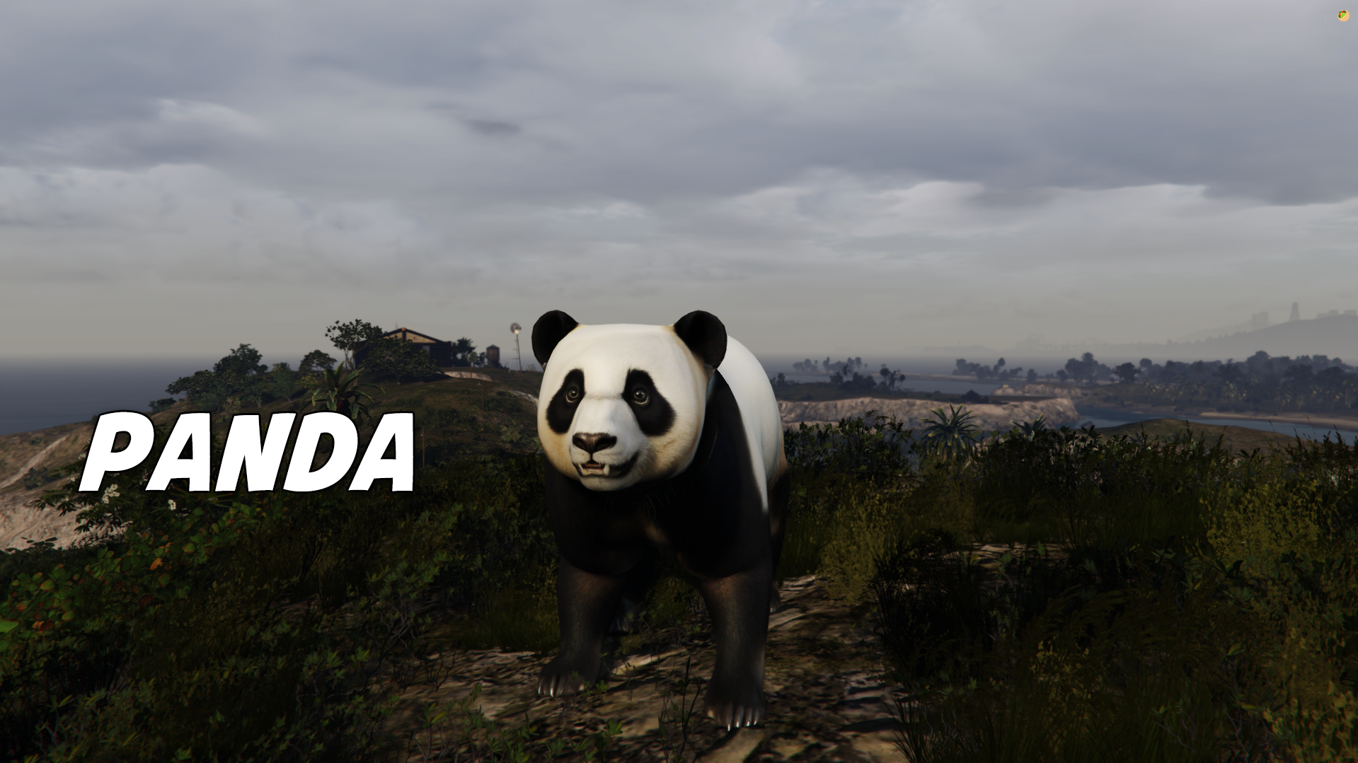Popcorn Roleplay · Panda