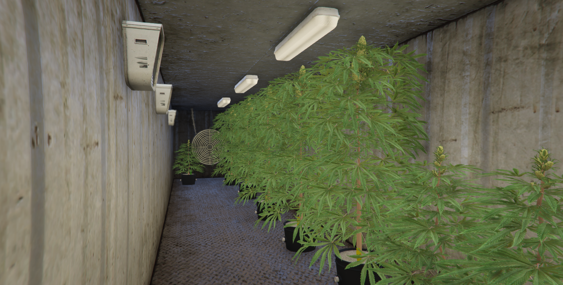 LordeFX · Hidden Weed Lab MLO