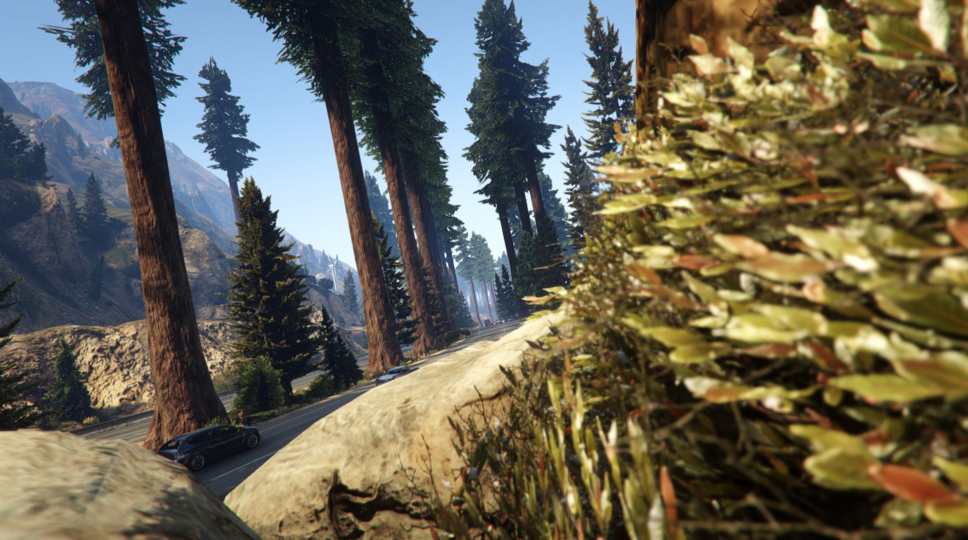 Realistic FiveM Vegetation & Environment Map | Jota Dev