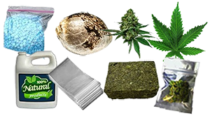 The Icon Library Project FiveM · FREE Lore Friendly Icons