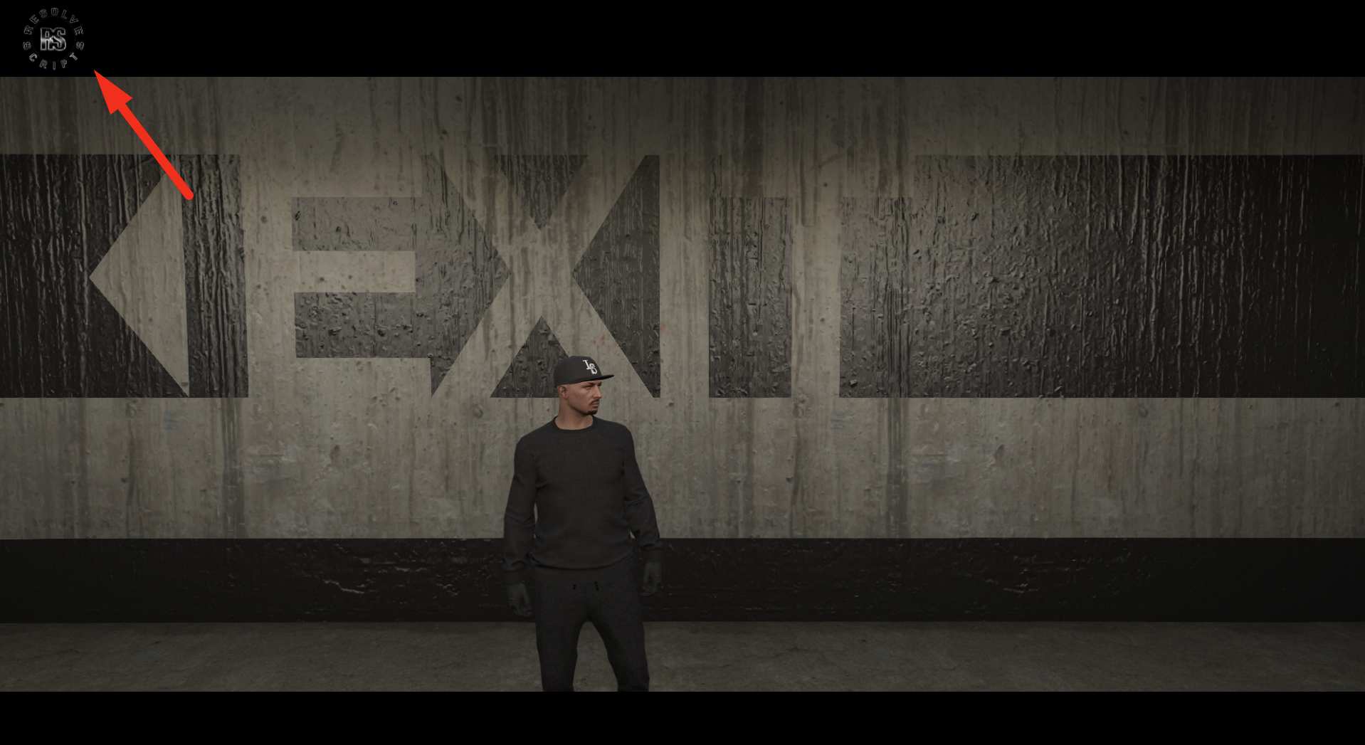 ResolveScripts · Corner Server Watermark