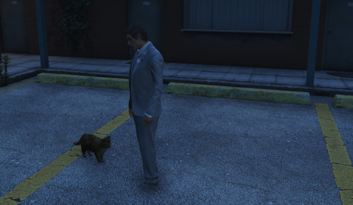 Mints Modifications Pet Companion Script