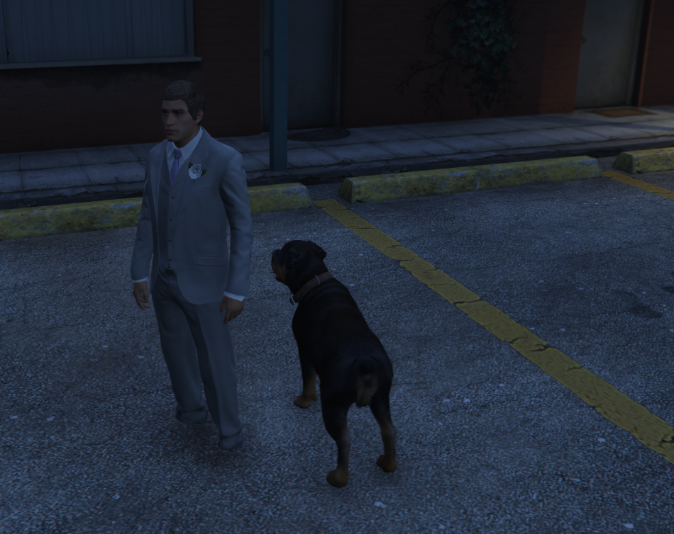 Mints Modifications Pet Companion Script