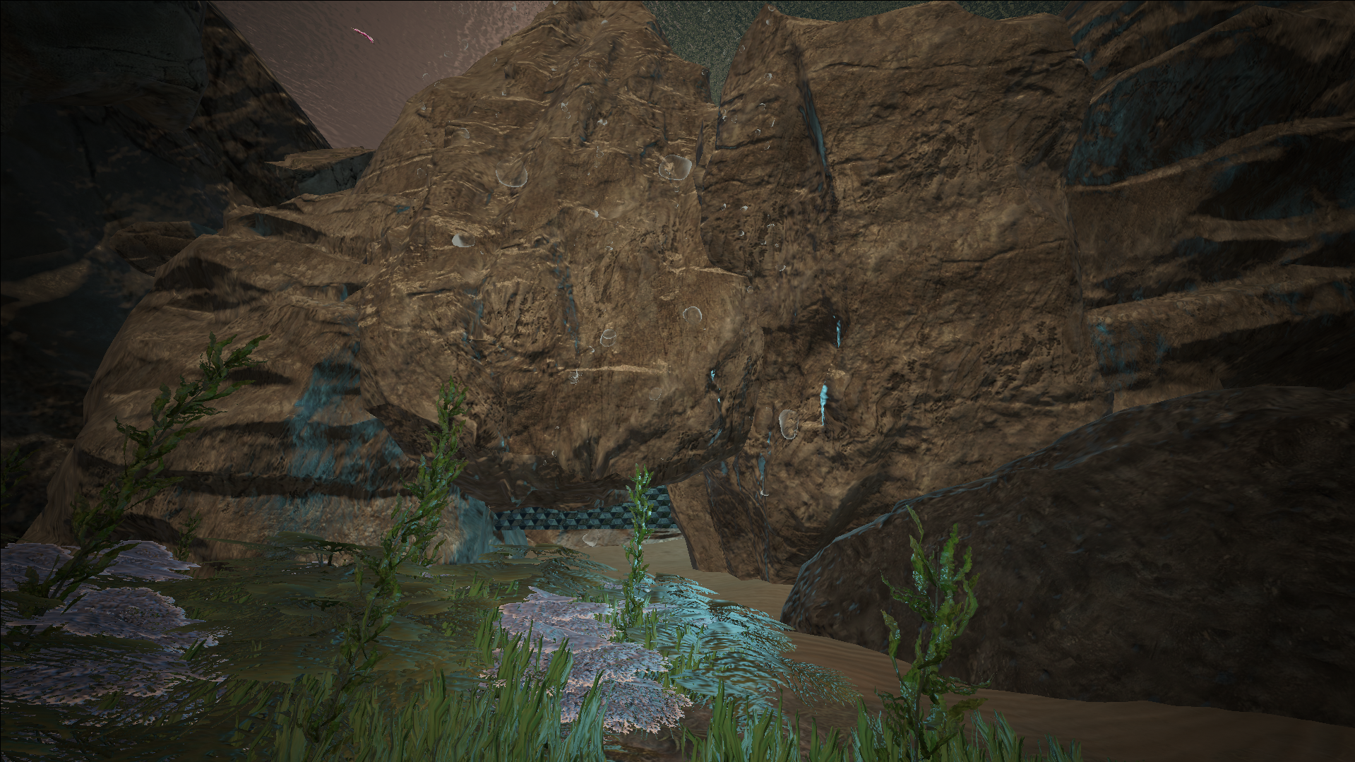 MIAMI 50X PVP | Cave Changes Island