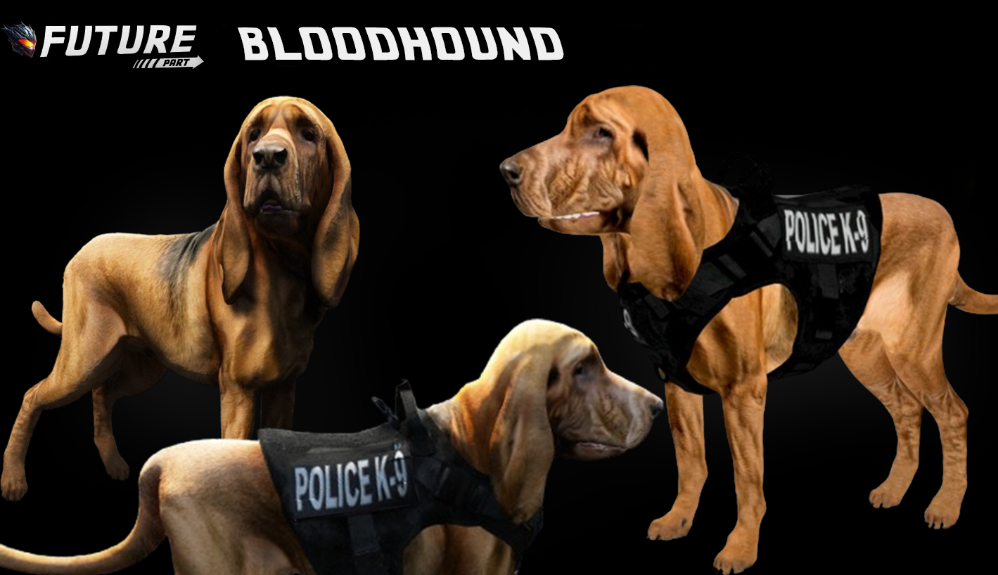 Future Store | Bloodhound [K9]