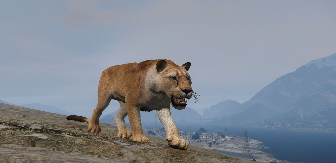 Future Store | Mountain Lion