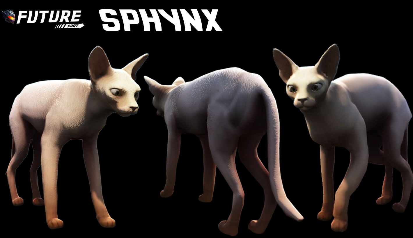 Future Store | Sphynx