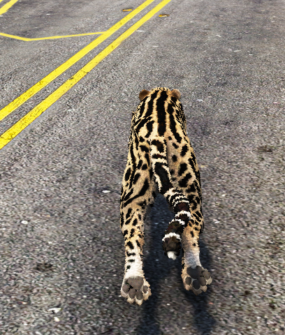 Future Store | Cheetah